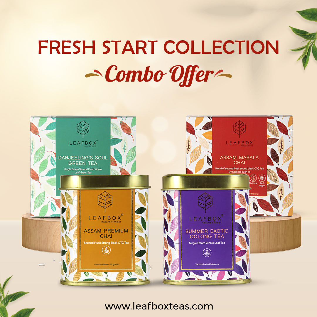 FRESH START COLLECTION