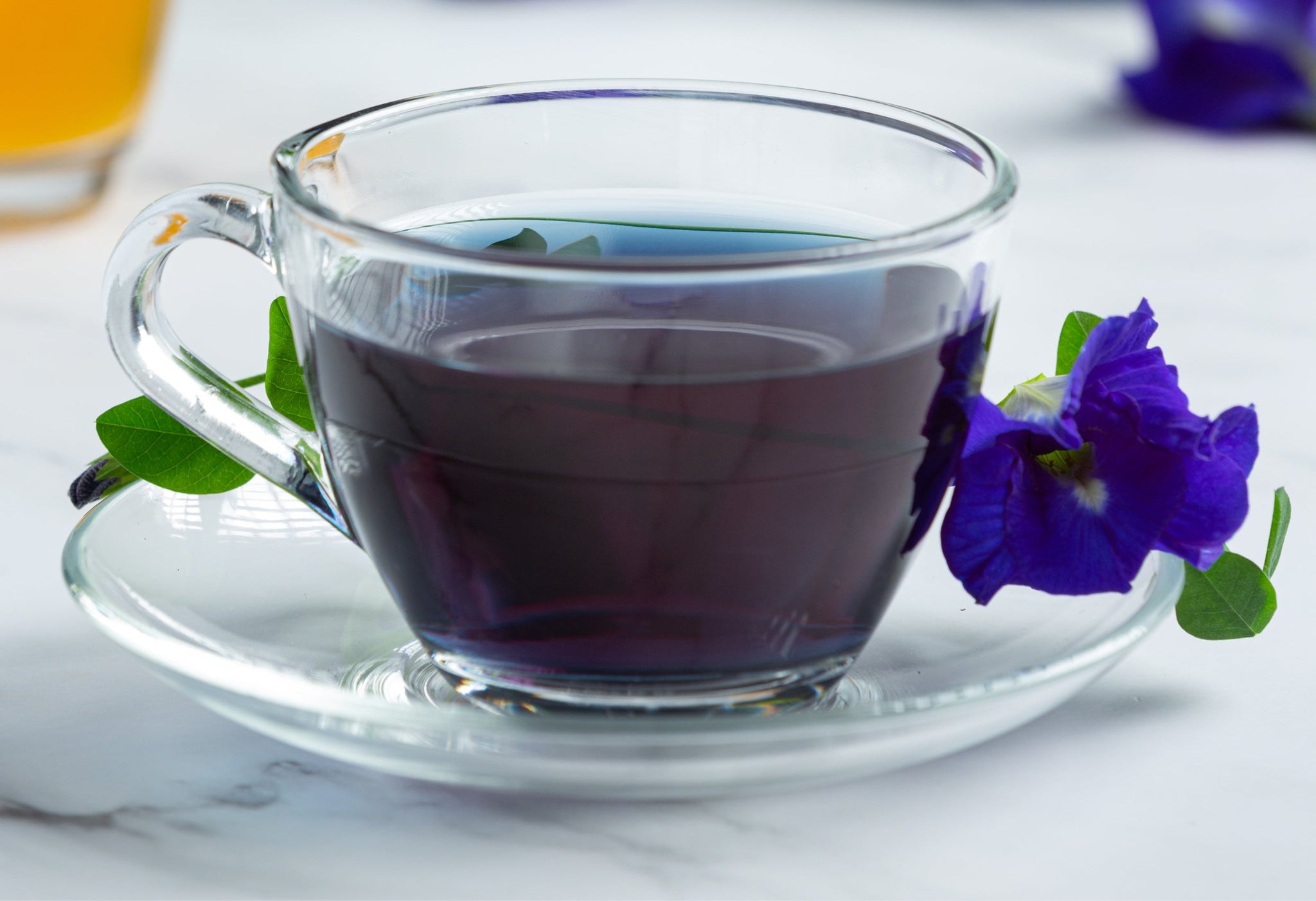Butterfly Pea Tea: The Magical Potion That Changes Colors